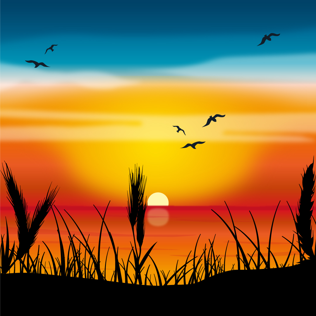 Portfolio - Krupal Upadhyay